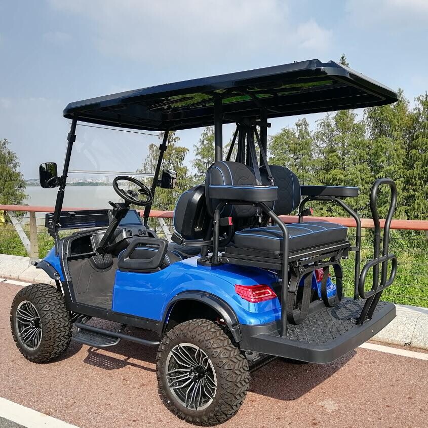 OEM Electric Lifted Golf Cart 4 Seater Self-Adjusting Rack And Pinion ...
